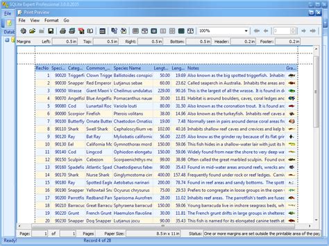 Whatsapp Sqlite Password Whitefoundation