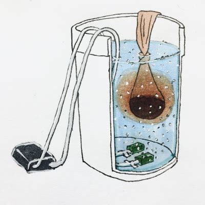 Compost Tea Recipe