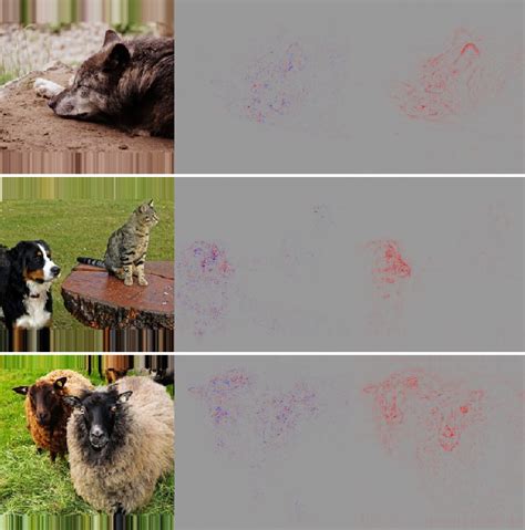 Object Boundary Detection And Classification With Image Level Labels