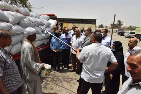 محافظ أسيوط يتابع انتظام توريد محصول القمح
