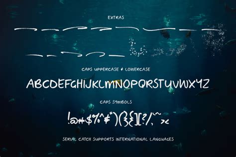 Serial Catch Script Font Duo By Creativeqube Design Thehungryjpeg