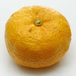 More Nether Adventures Minecraft Modpacks CurseForge