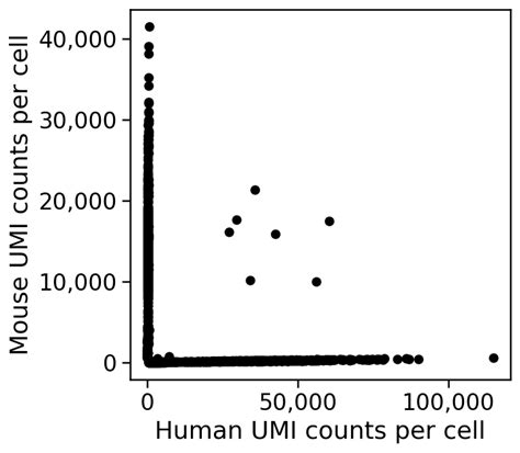 Python Kallisto Bustools