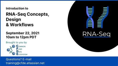 What Do You Do In A Dry Lab Bioinformatics