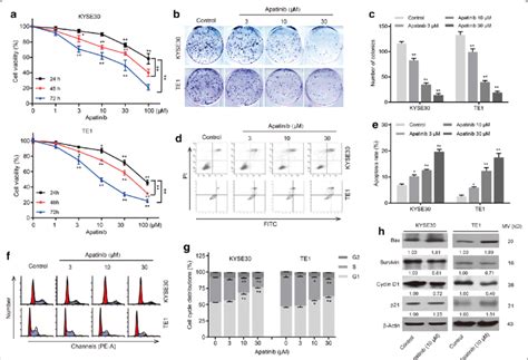 Apatinib Inhibited Esophageal Cancer Cell Growth Via Promoting Cell