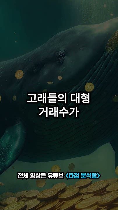 세계 1위 이 코인 고래들의 끊이지 않는 매집 리플코인 도지코인 이더리움 Youtube