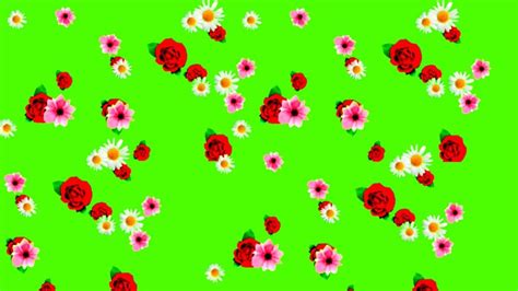 Green Screen Backdrop Green Screen Photo Free Green Screen Green Screen Background Images