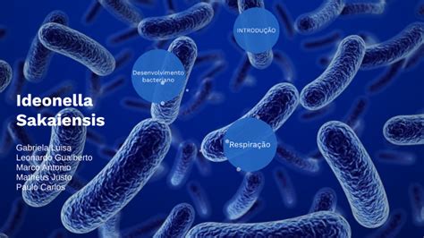 Ideonella Sakaiensis By Matheus Justo On Prezi