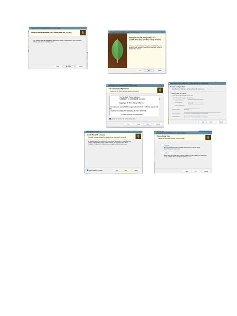 Imagenes De Instalacion De Mongo Pdf