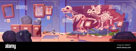Abandoned Museum With Fossil Dinosaur Skeleton Messy Archeology And