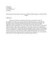 CSI LAB REPORT Docx Aneri Patel Dr Westphal General Biology Lab Report Identifying Crime