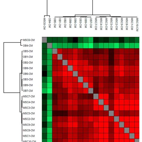 The Constitutive Protein Release By Normal Mscs And Osteoblasts