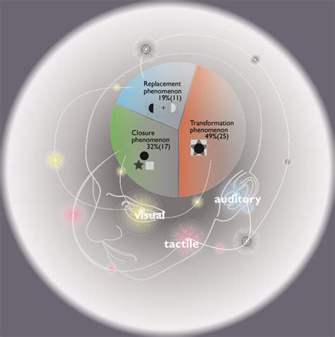 “how People Tend To Organize Sensory Information Into Unified Wholes In