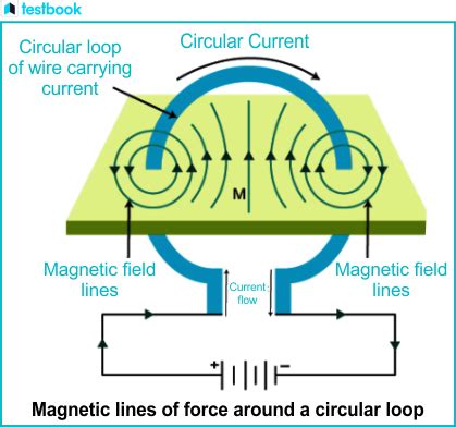 Magnetic Calculations For Circular Conductors Learn Concept Derivations