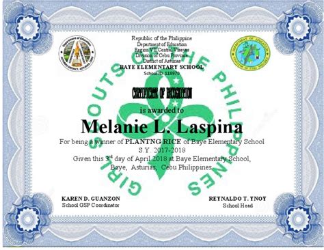 Gsp Certificate Pdf