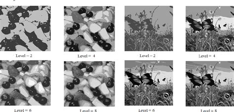 multilevel threshold based gray scale image segmentation using cuckoo