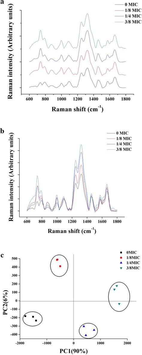 Raman Spectra Of E Coli Cells Treated With Different Concentrations Of