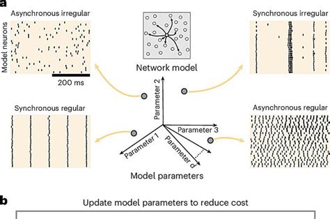 novel framework allows for automated tuning of large scale neuronal models