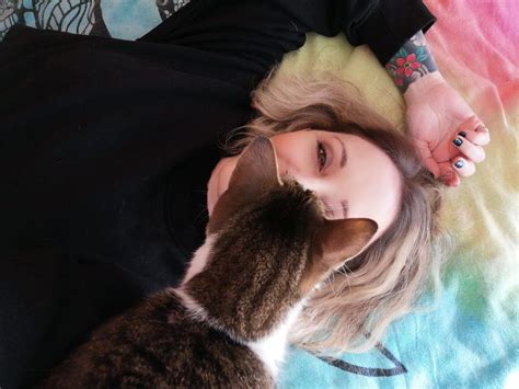 Mi Gato Adulto Me Muerde Terapia Felina