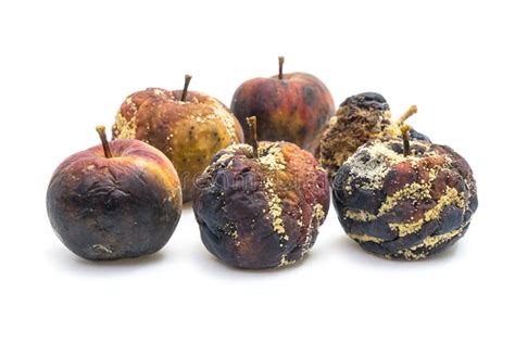 365 Apples Decompose Stock Photos Free Royalty Free Stock Photos From Dreamstime