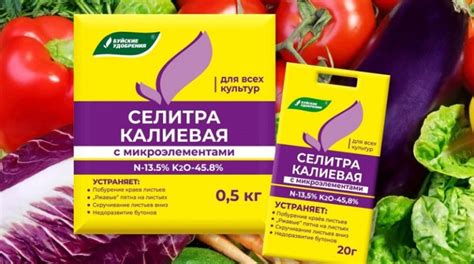Dusi Nan Draseln Co To Je Pou Ijte Jako Hnojivo Pro Raj Ata A Jin Rostliny