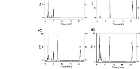 Typical Chromatograms Of A Blank Plasma B Standard C Spiked Plasma
