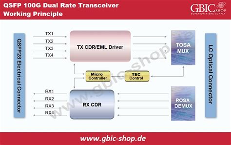 Understanding Various Varieties Of Qsfp 100 Gigabit Dual Rate Optical
