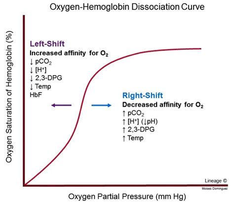 Solved Why Does A Low Ph Affect The Hemoglobin Curve Why