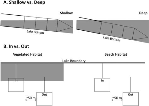 Schematic Of Experimental Set Up For Each Mini Fyke Net Deployment To Download Scientific