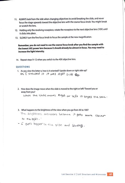 BIOL L Lab Exercise L L ALWAYS Look From The Side When Changing