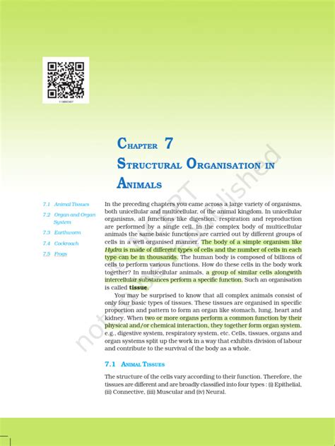 Tissues Old Ncert Class 11 Pdf Epithelium Muscle