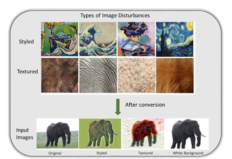 Figure 1 From Interpreting The Decisions Of Cnns Via Influence Functions Semantic Scholar