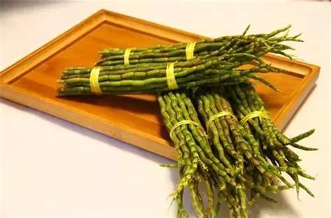 夏季鐵皮石斛你會吃嘛 每日頭條