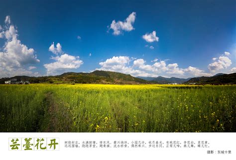 陌上花开摄影图片风光摄影 太平洋电脑网摄影部落