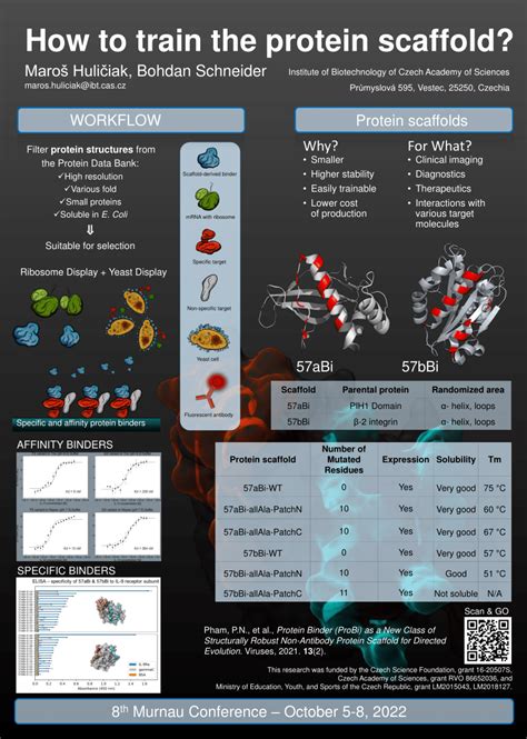 Pdf How To Train Your Scaffold Th Murnau Conference On Structural Biology