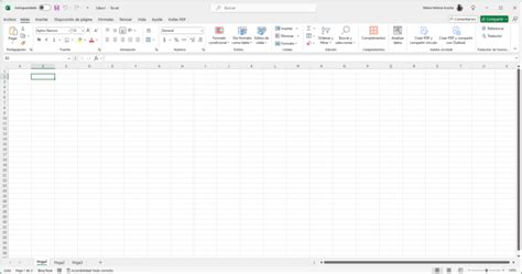 01 Conceptos Básicos de Excel Introducción Soy Malena