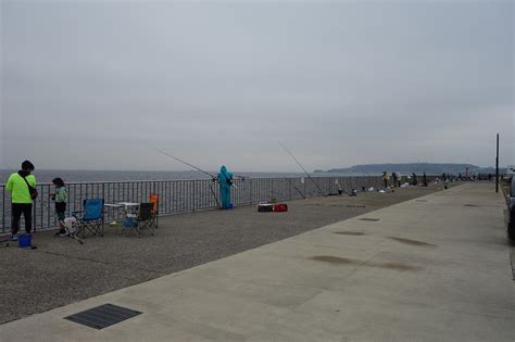 うみかぜ公園の釣り混雑状況（bbq、バスケットボールコート、壁打ちテニス、スケーボー、bmx）（2024年4月） 釣道楽