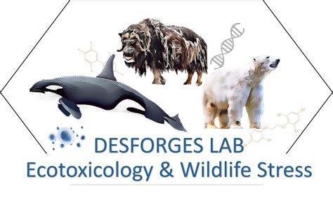 Msc And Phd Positions In Marine Mammal And In Vitro Toxicology