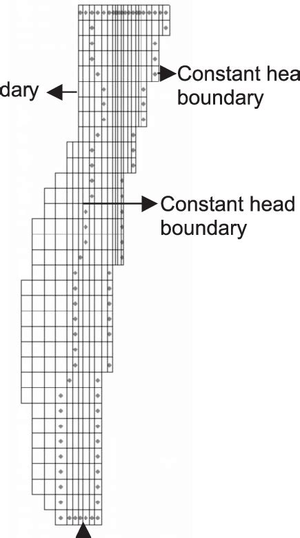 Model Grid Pattern And Boundary Conditions Download Scientific Diagram