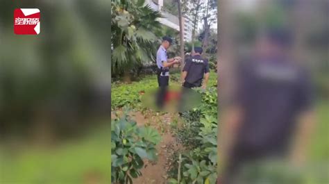 三亚跳舞坠楼女子留有遗书，具体是啥情况？事件回顾！ 社会 舜网新闻