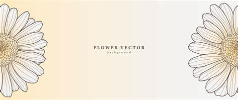 귀여운 흰색 데이지가 있는 벡터 밝은 꽃 배경 텍스트 사진 졸업장 엽서 및 프레젠테이션의 배경 결혼식에 대한 스톡 벡터 아트 및 기타 이미지 Istock