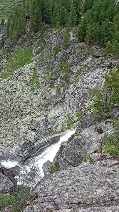 Путешествие в мечту 11🏞 алтай тайга горы походы туризм