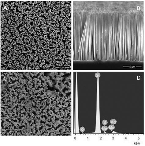 Photo Electrochemical Hydrogen Evolution Electrode Based On Mos2 And Ag Modified Silicon