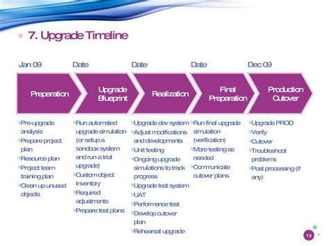 Sap Upgrade Project Brief