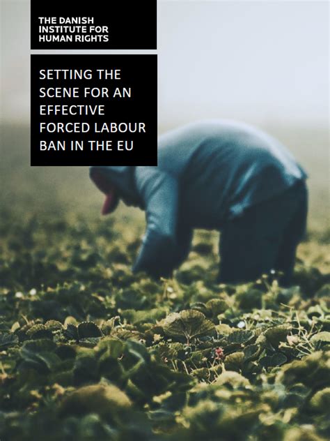 Setting The Scene For An Effective Forced Labour Ban In The Eu The