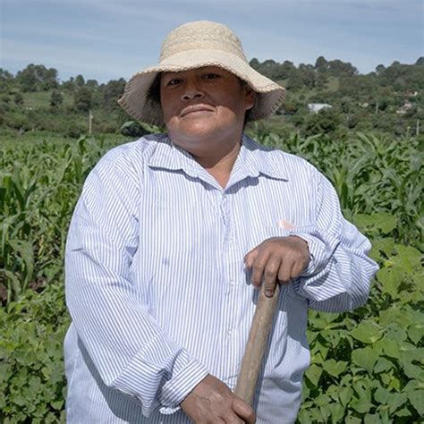 Cadenas de valor Ayuda en Acción México