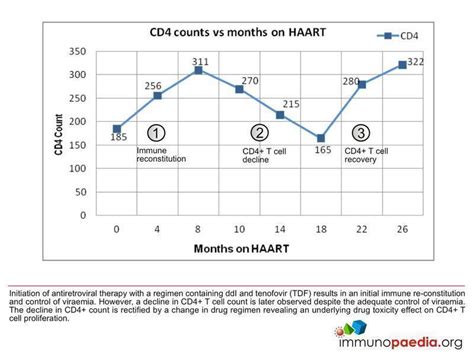 Hiv Declining Cd4 T Cell Count Immunopaedia