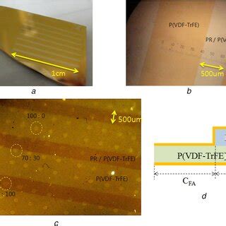Multibit Memory A Whole Image Of The Sample B Microscopic Image Of PR Download Scientific