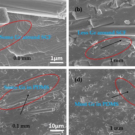 Dispersion Of Cnt Network In Pdms2 Wtscf2 Wtcnt Nanocomposites A Download Scientific