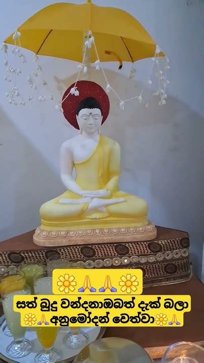 සත් බුදු වන්දනා 🙏🙏🌼 සත්බුදු වන්දනාව Viralshorts Buddhashort Video Thero Youtube